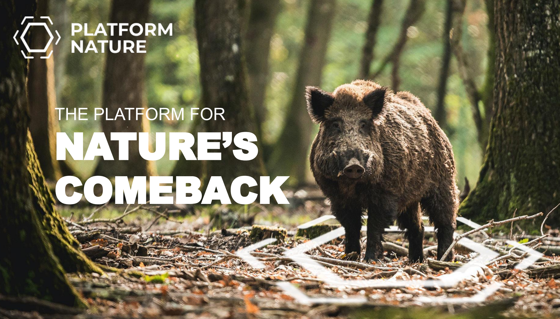 Platform Nature - Monetize Your Land Restoration Projects